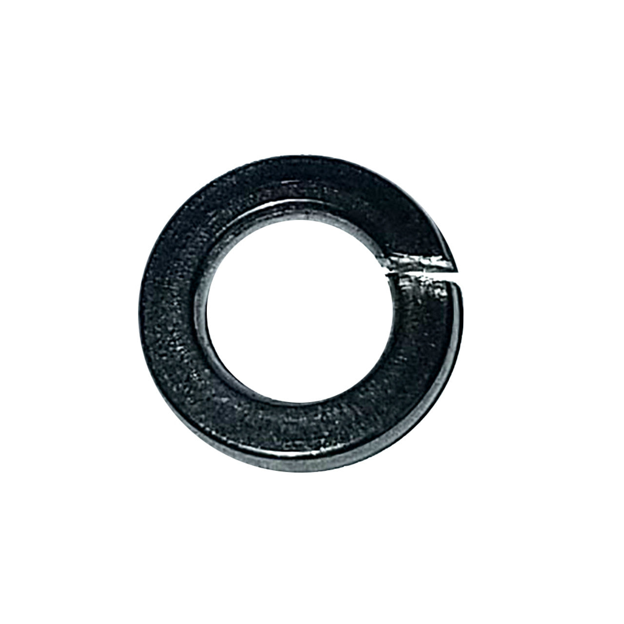 Shop Maxwell Washer Spring 6mm 304 Stainless Steel | Boatyard Malaysia